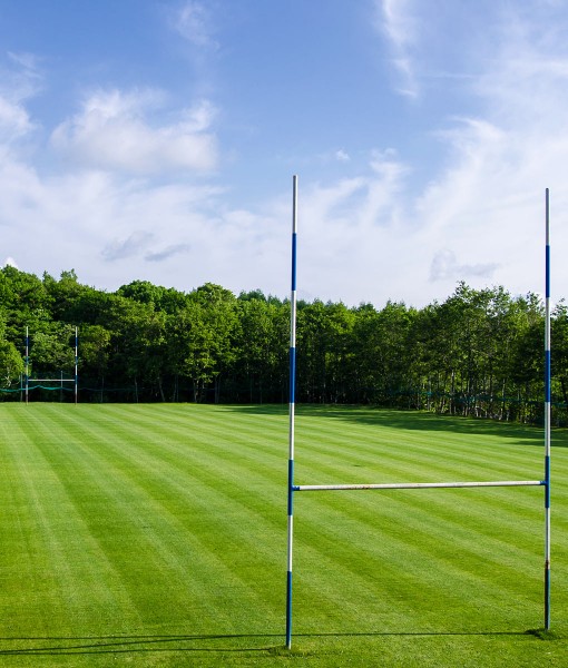 Amenity Grass to Seed or Repair a Rugby Field - GSS-SF2
